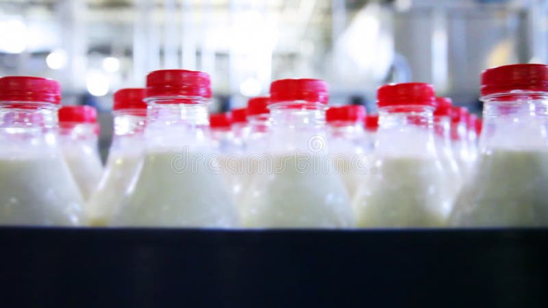 Rows of Plastic Bottles with Milk and Red Caps at Stock Footage - Video ...