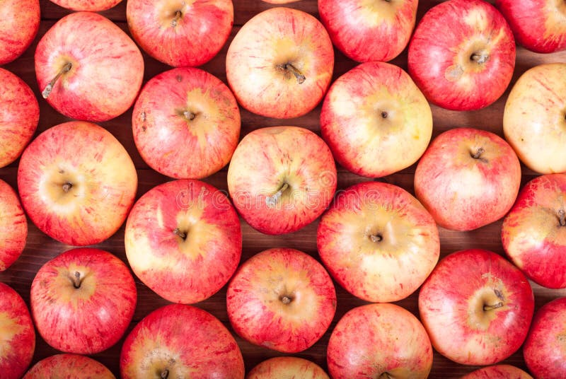 Rows of Red Apples on a Wooden Surface. Top View Stock Photo - Image of ...