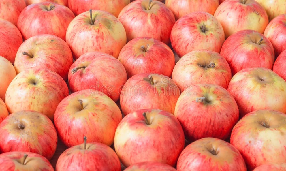 Rows of Red Apples on a Wooden Surface. Top View Stock Photo - Image of ...