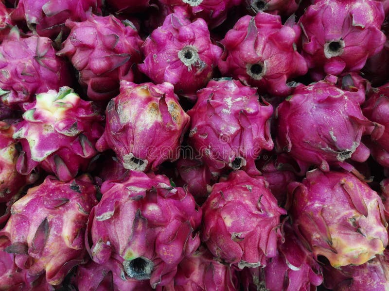 Rows of Red and Sweet Dragon Fruit Stock Image - Image of fruit, sweet ...
