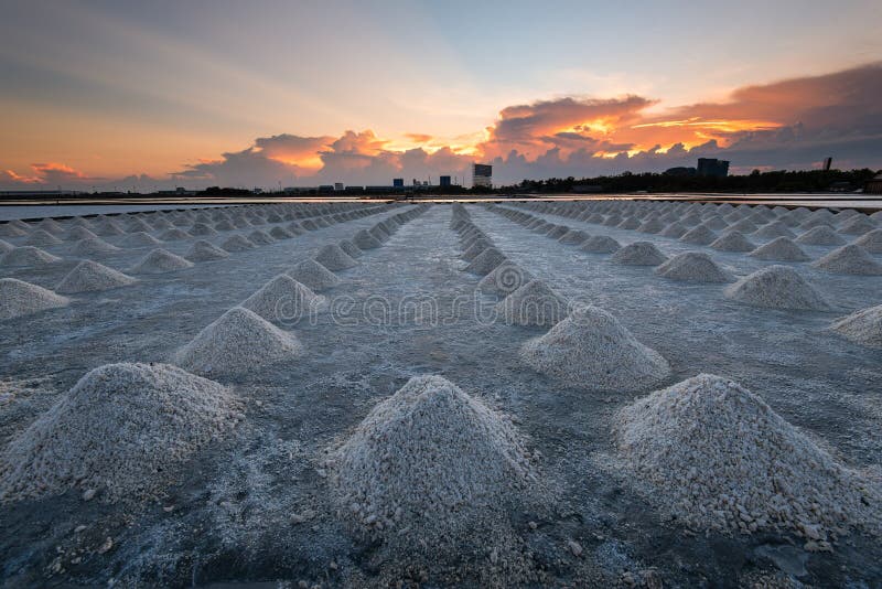 Rows of Salt Fields at Sunset Stock Image - Image of farmer, seaside ...