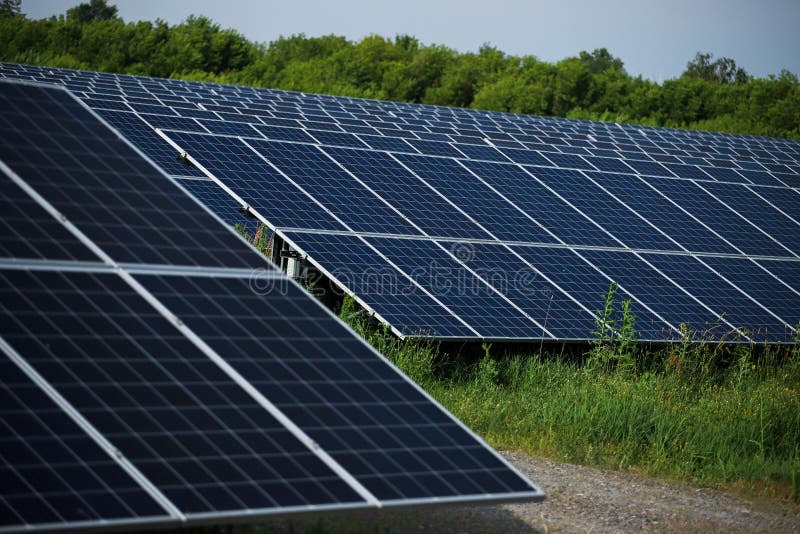 Rows of Solar Panels in a Field Stock Photo - Image of green, growth ...