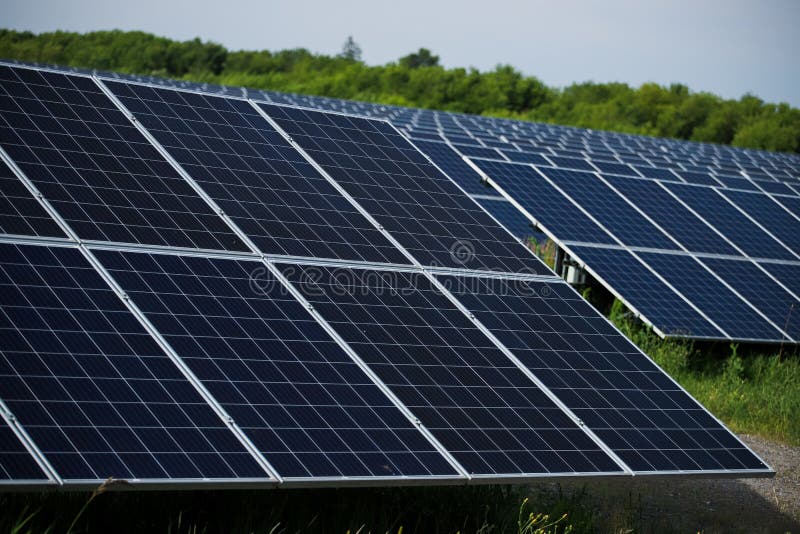 Rows of Solar Panels in a Field Stock Photo - Image of blue ...