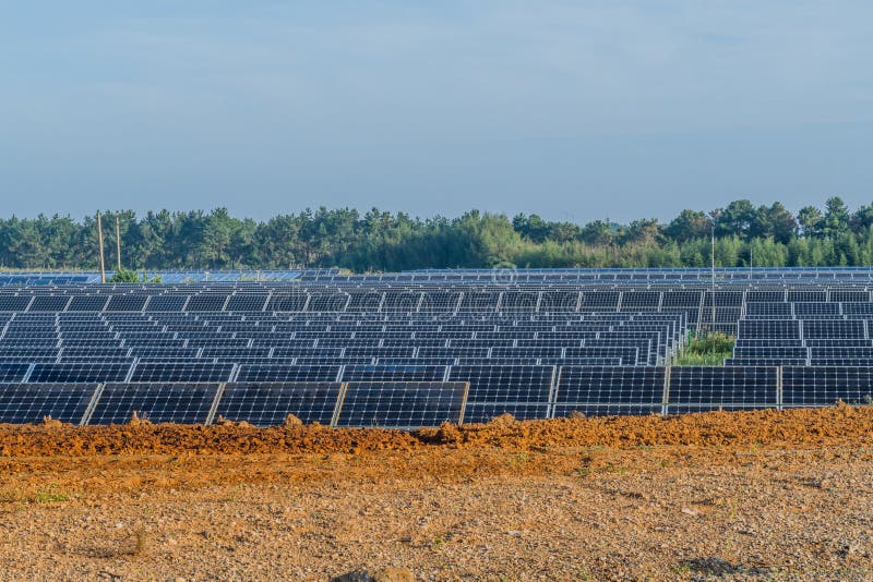 Rows of Solar Panels in Field Stock Photo - Image of innovative, clean ...