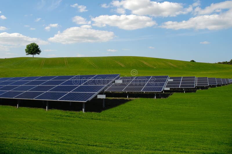Rows of Solar Panels and Green Nature Stock Image - Image of ...
