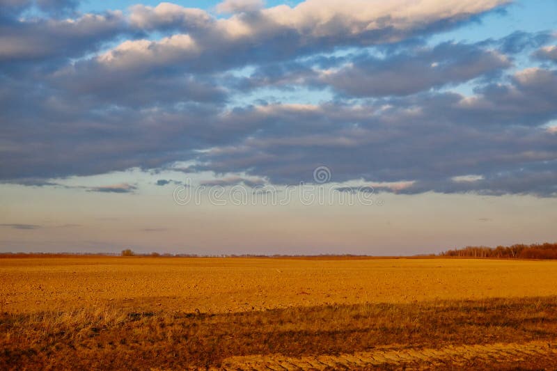 Rows of Tilled Soil Ready for Planting, with Bare Trees and a Sunset ...