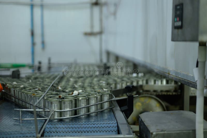 Rows of Tin Cans Move Along Conveyor Belt Inside an Industrial Food ...