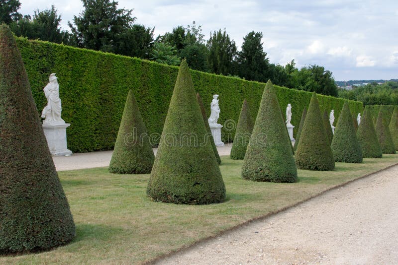 Topiary Vintage Garden Signs Memo Boards Stock Vector - Illustration of ...