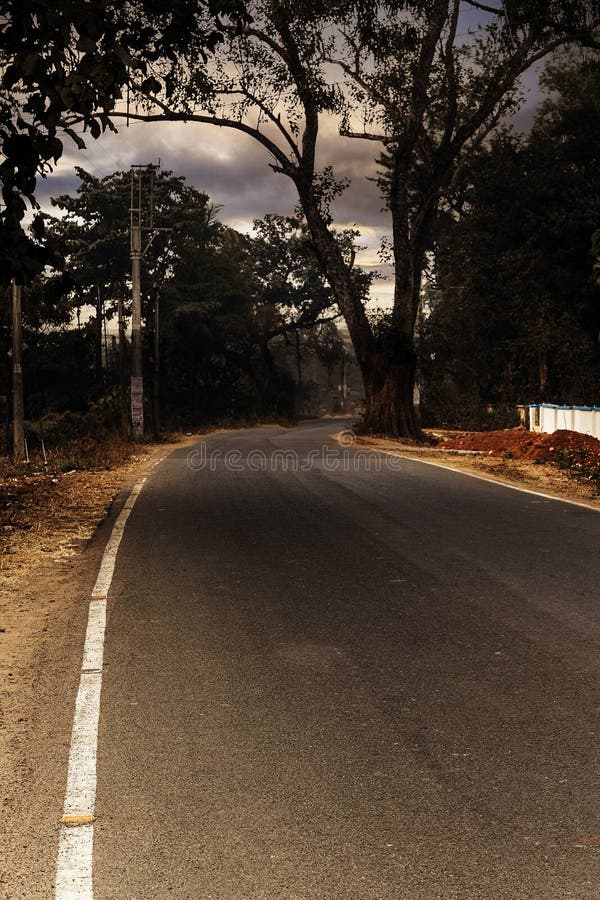 Rows of Trees Along the Road and the Sky Covered with Thick Black Rain ... Rows of Trees Along the Road and the Sky Covered with Thick Black Rain ...