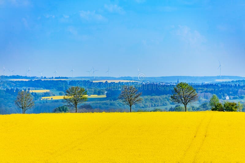 139 Wheat Field Canola Leezen Germany Stock Photos - Free & Royalty ...