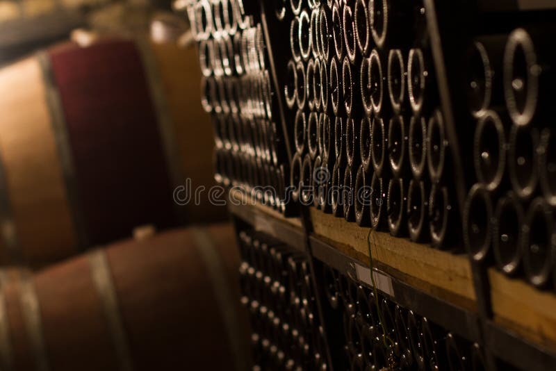 Rows of Vintage Wine Bottles in a Wine Cellar Stock Image - Image of ...
