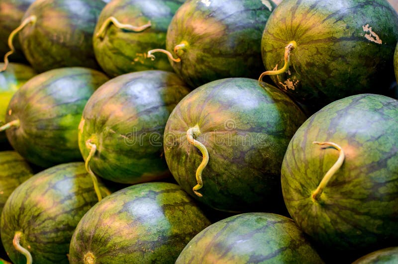 Rows of Watermelons in the Street Market Stock Image - Image of green ...