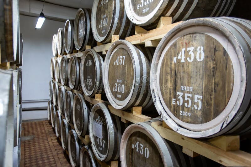 Rows of Wine Barrels in Vaults at the Winery. Stock Photo - Image of ...