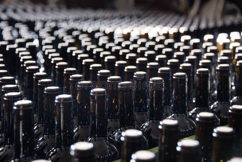 Rows of Wine Bottles in a Winery Stock Image - Image of pattern, stand ...
