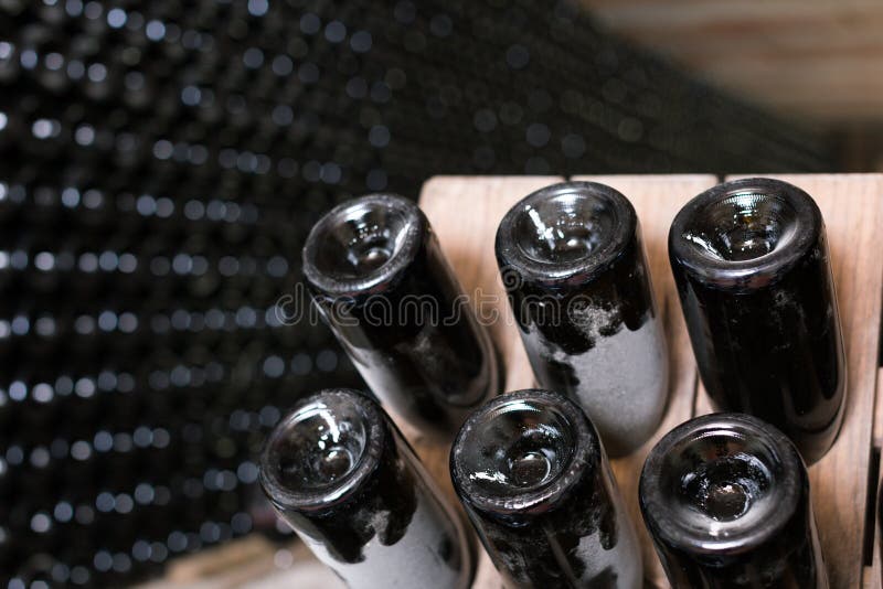 Rows of Wine Bottles in Winery Stock Photo - Image of collection ...