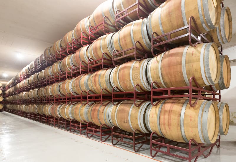 Rows of wooden barrels stock photo. Image of champagne - 48693842