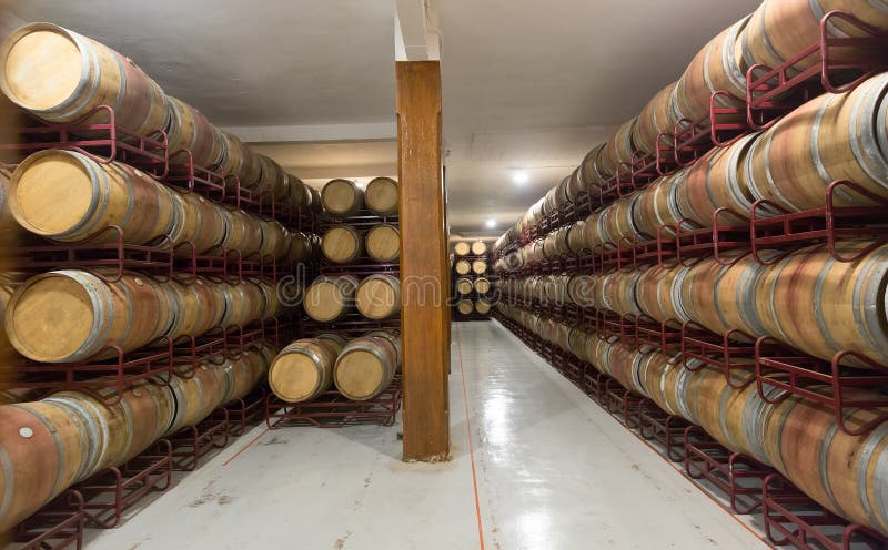 Rows with wooden barrels stock image. Image of selection - 64860089