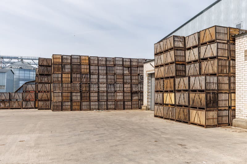 Rows of Wooden Crates Boxes and Pallets for Fruits and Vegetables in ...