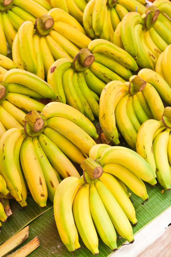 Rows of Yellow bananas stock photo. Image of heap, multiple - 25657832