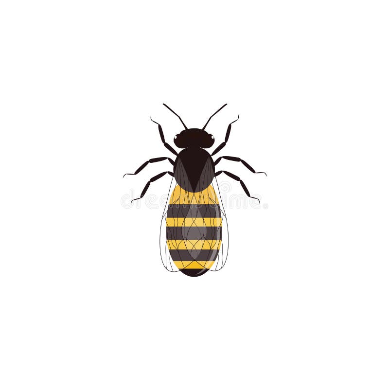 Royal Bee Stock Illustrations – 892 Royal Bee Stock Illustrations ...
