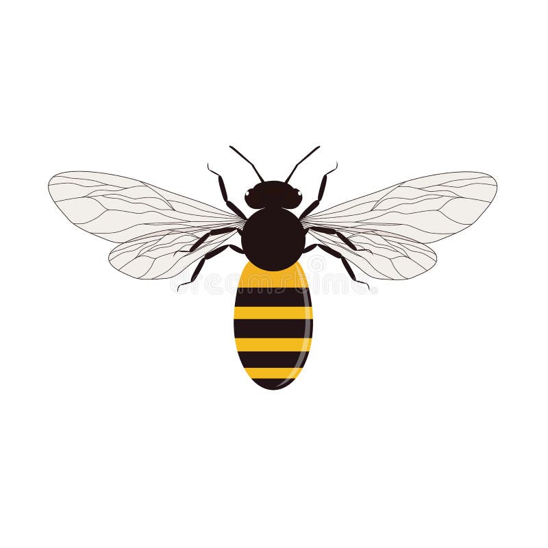 Royal Bee Vector Design on White Stock Vector - Illustration of icon ...