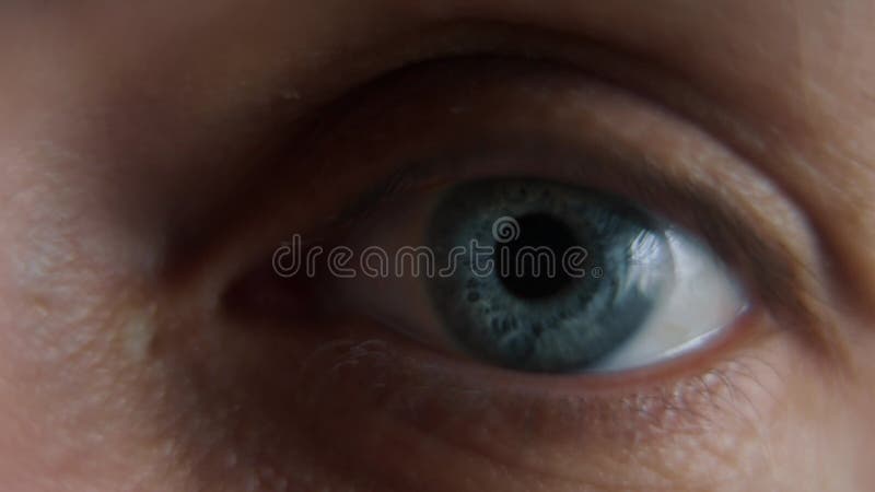 Royal Blue Eyes Close Up Portrait Stock Video - Video of iris, pupil ...