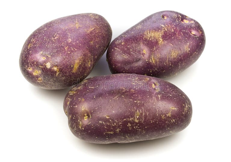 Royal Blue Potatoes stock image. Image of healthy, farm - 16213983