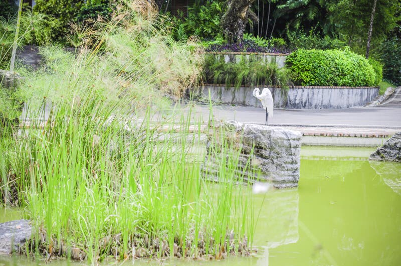 Royal Galsa Stock Photos - Free & Royalty-Free Stock Photos from Dreamstime