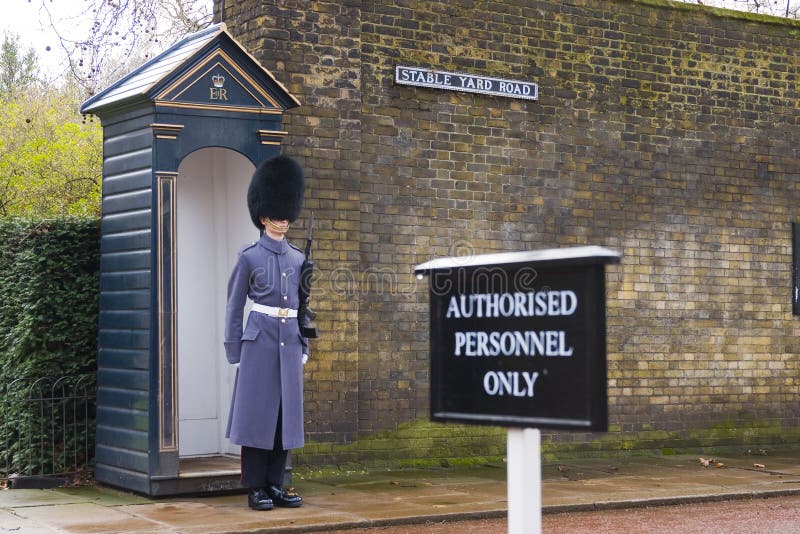 A Royal Guard at Buckingham Palace Editorial Image - Image of black ...