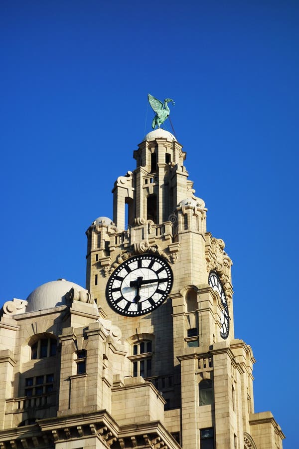 Royal Liver Building editorial stock photo. Image of liver - 53552313