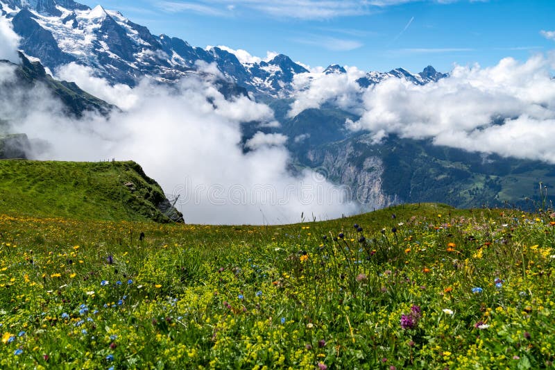 Royal Walk Hike. Clouds Obstruct the View at the Royal Walk Viewpoint ...