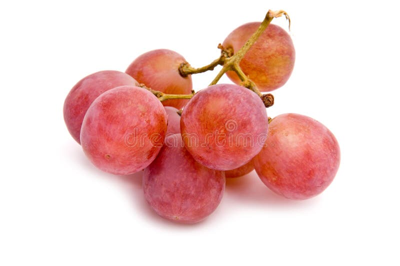 Roze druif stock foto. Image of vrucht, decoratie, groei - 7643320