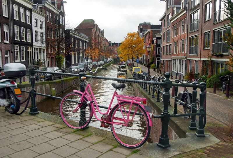 Roze Die Fiets Met Bloemen Op De Pijler Wordt Verfraaid Stock ...
