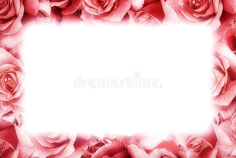 Kader van roze rozen stock illustratie. Illustration of gevoelig - 32034549