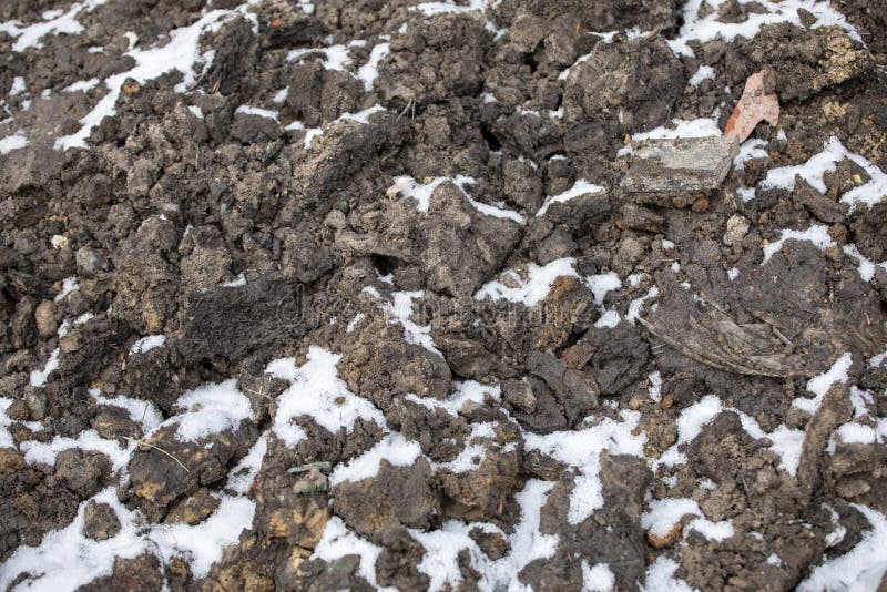 Sand and Snow - the Wonders of a Desert in Egypt Stock Image - Image of ...