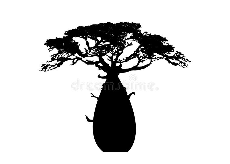 Boab or Baobab Tree Vector Isolated, Tree Silhouette Logo Concept Icon ...