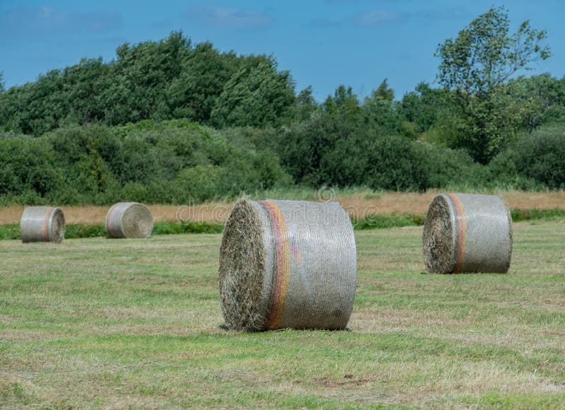 Rround bales in a field stock image. Image of fields - 123832319