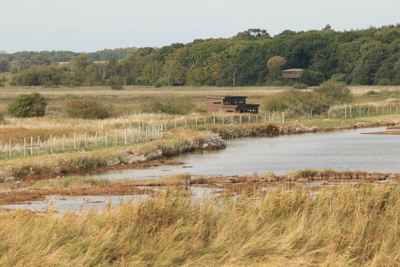 RSPB Minsmere fotografia stock. Immagine di turista - 105981142