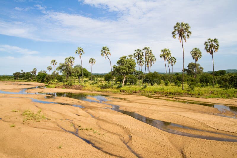 Dry riverbed stock photo. Image of absence, dehydration - 122990740