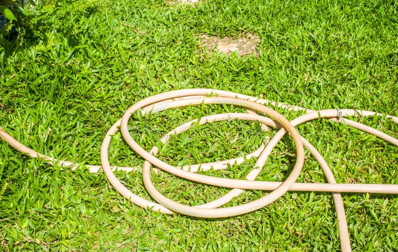 Rubber band on grass stock photo. Image of flow, grass - 73582472