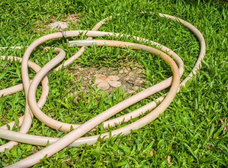 Rubber band on grass stock image. Image of dirty, field - 73582485