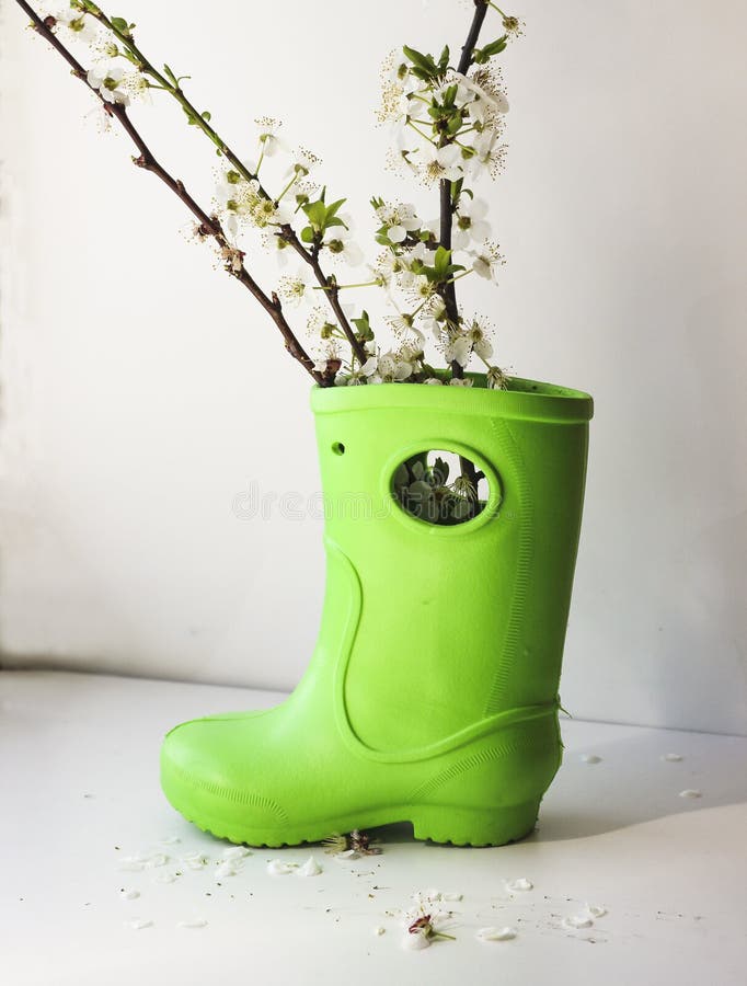 Rubber Boot and Blooming Spring Tree Branch Stock Photo - Image of ...