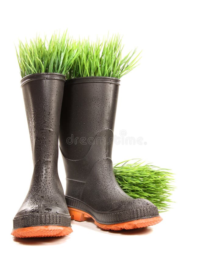 Rubber Boots with Grass on White Stock Image - Image of foliage, grass ...
