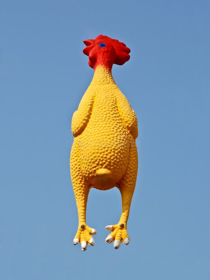 1,118 Rubber Chicken Decal Stock Photos - Free & Royalty-Free Stock ...