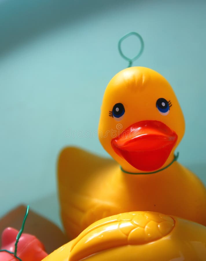 Bathtime stock image. Image of gormless, facial, animal - 1494803