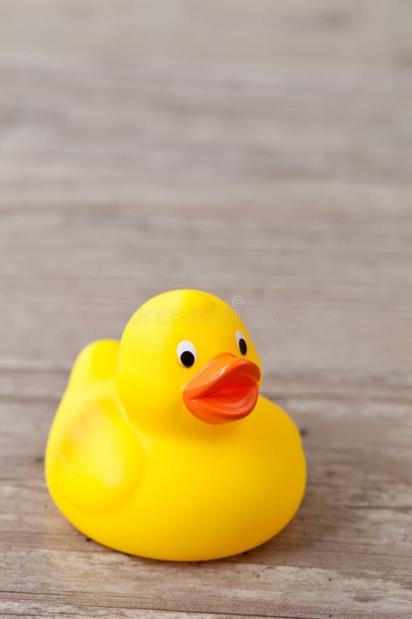 Rubber duck army stock photo. Image of bath, color, yellow - 8864776