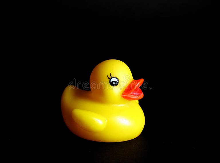 803 Rubber Duck To Draw Stock Photos - Free & Royalty-Free Stock Photos ...