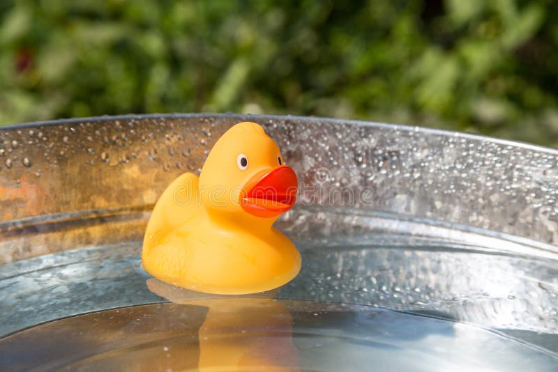 Rubber duck stock photo. Image of water, black, metal - 37024176