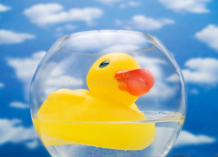 Rubber duck stock photo. Image of play, bath, plastic - 4591700