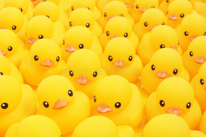 Rubber Duck stock image. Image of float, funny, play - 36068403